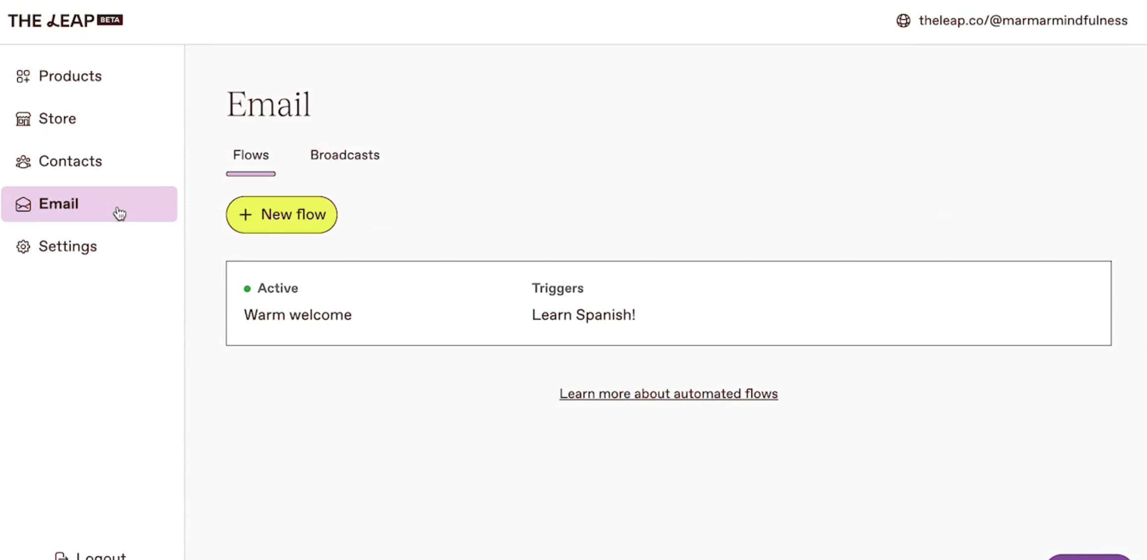 How To Create Email Flows and Send Broadcasts With The Leap